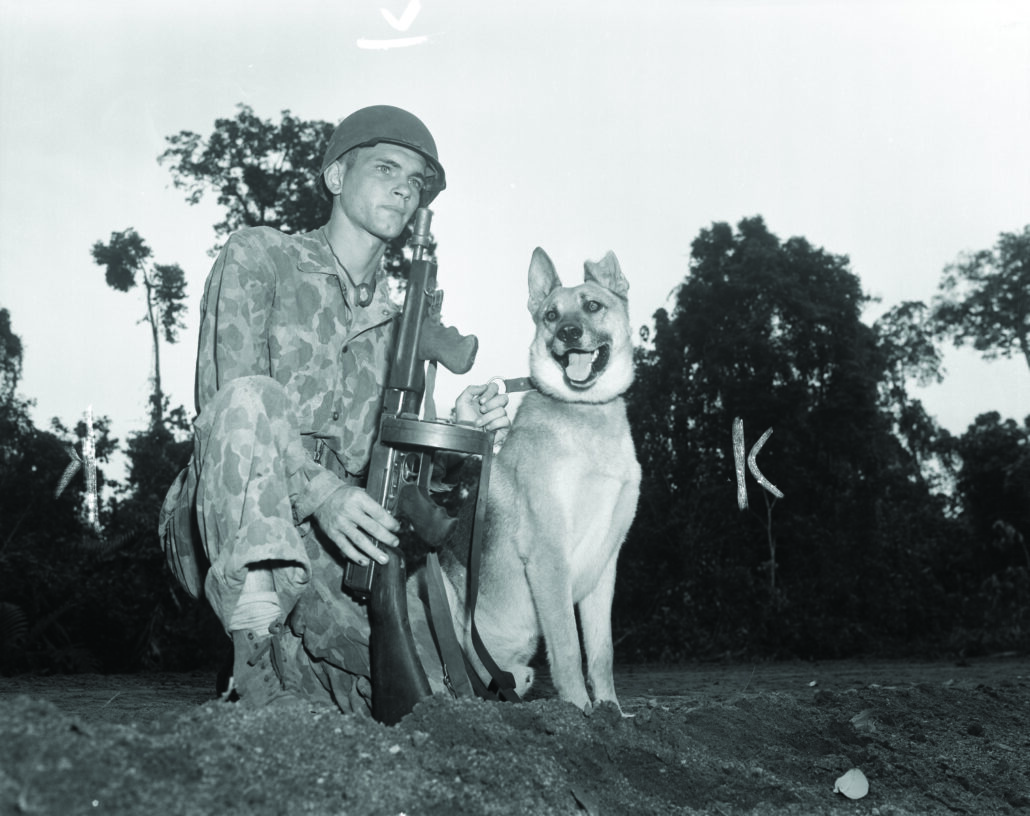 The Dogs of War: Canine Companions Vital to Corps' Success - Marine ...