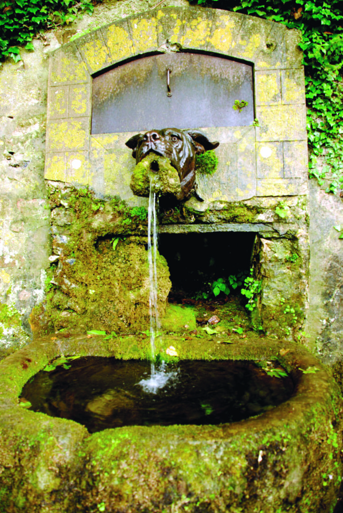 Return With the Elixir: The Psychology of Pilgrimages to the "Devil Dog" Fountain - Marine Corps ...