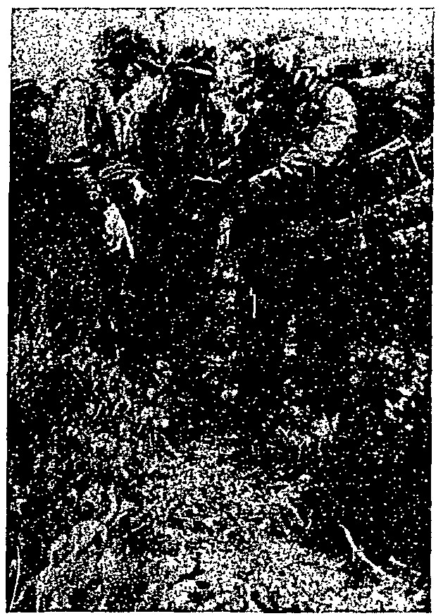 The Theory of Maneuver in USMC Doctrine and Force Structure - Marine ...